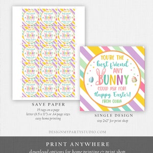 Editable Easter Gift Tags Easter You're the Best Friend Any Bunny Could ...