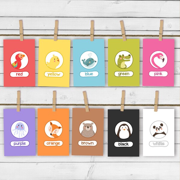 Educational Cards - Etsy
