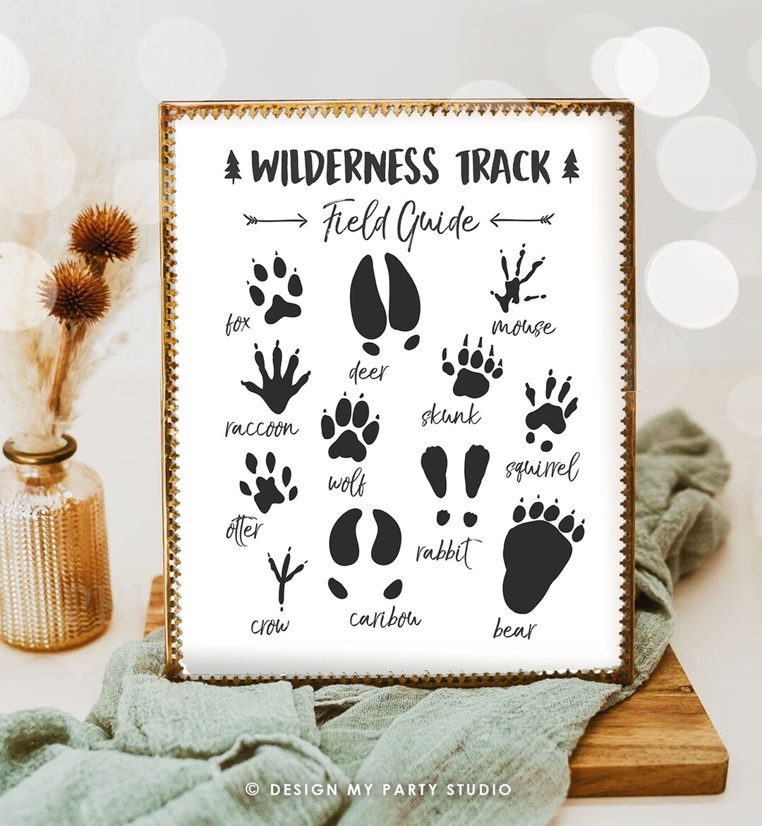 Animal Track Field Guide Woodland Nursery Woodland Wall Decal ...