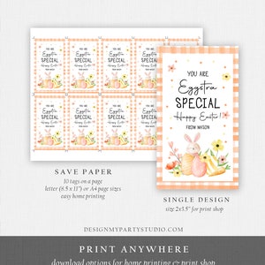 Editable Easter Tags You Are Eggstra Special Kids Classroom Teacher ...