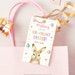 Editable Easter Gift Tags Egg-cellent Teacher Appreciation Classroom ...