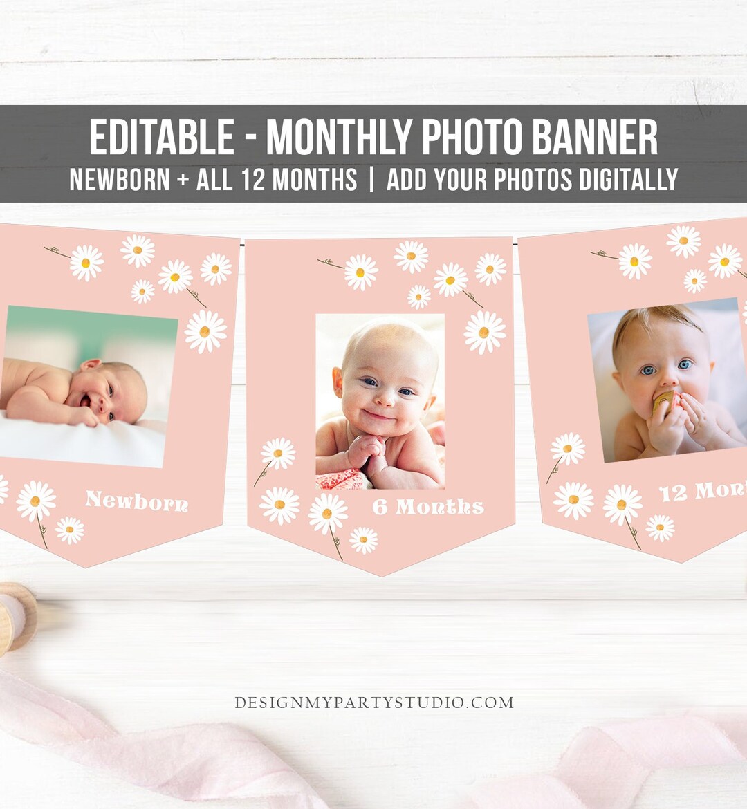 Editable Daisy First Birthday Banner Daisy Monthly Photo Banner Pink ...