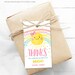 Editable Sunshine and Rainbows Favor Tags Little Sunshine Birthday ...