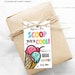 Editable Summer Ice Cream Teacher Appreciation Tag Kids End of School ...