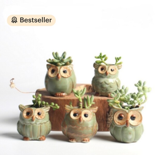 Owl Flower Pot - Etsy