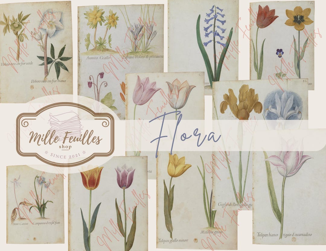 25 Antique Illustrations - Flora - Printable for Journaling and Art ...