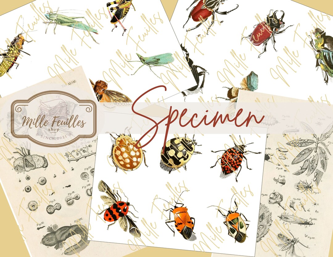 Specimen Digital Kit - Printables for Journaling Art - Fussy Cut ...