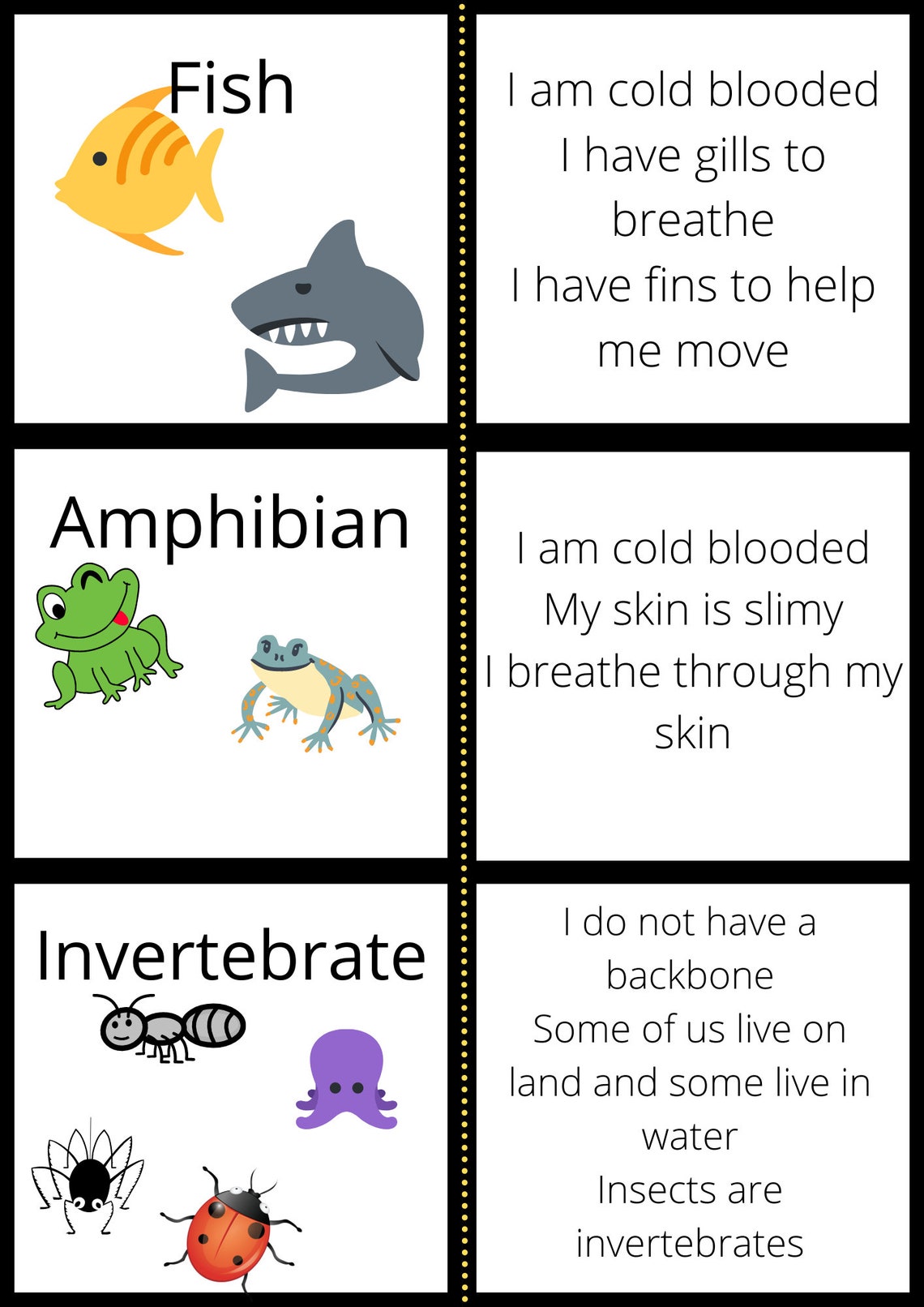 Childrens Printable Animal Classification Activity. Digital Download ...
