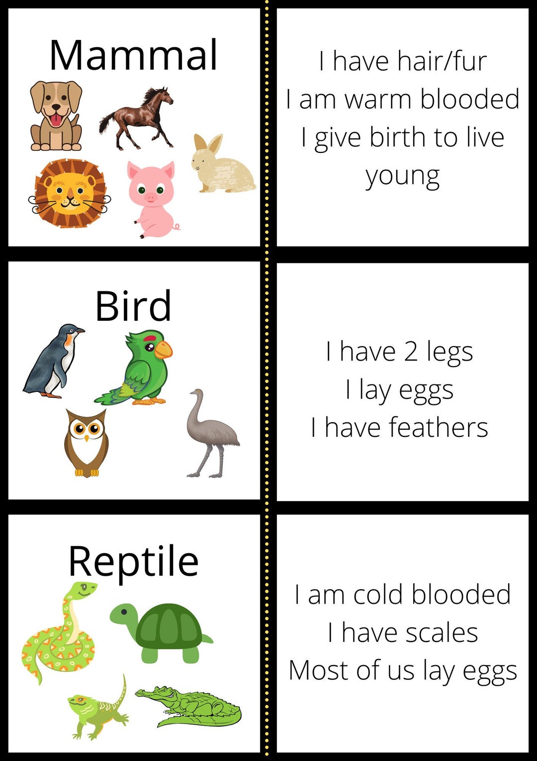 Childrens Printable Animal Classification Activity. Digital Download ...