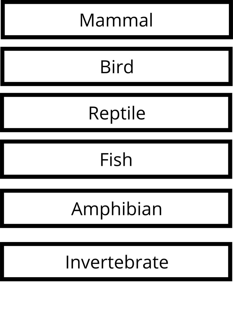 Childrens Printable Animal Classification Activity. Digital Download ...
