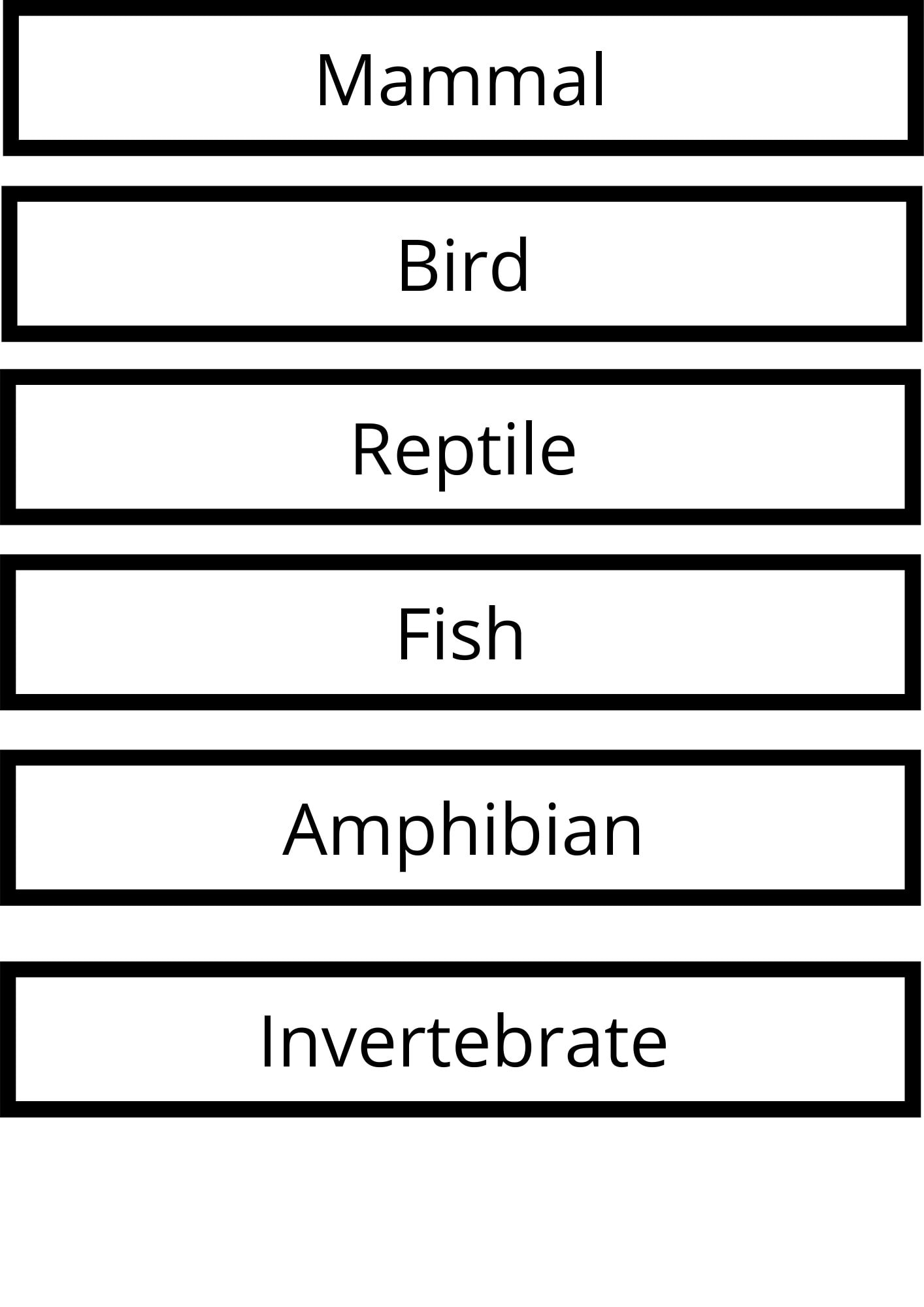 Childrens Printable Animal Classification Activity. Digital Download ...