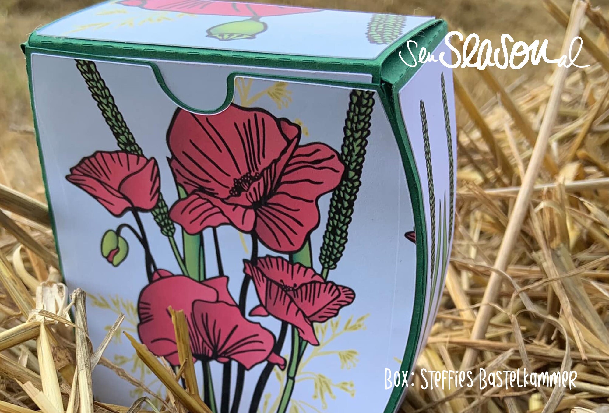 Plotterdatei Mohnblumen, Mohnblüte mit Stempel, Blumen-Bouquet mit Mohn und Gräsern, Folienplott ...