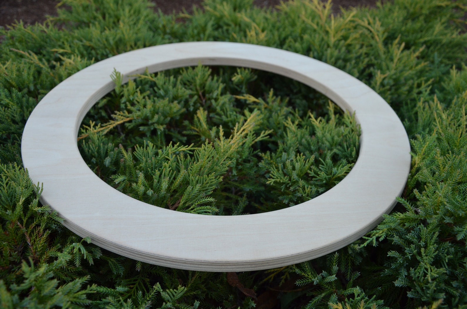 Wood Round Disc Circle for DIY Advent Candle Holder Base Birch Wood ...