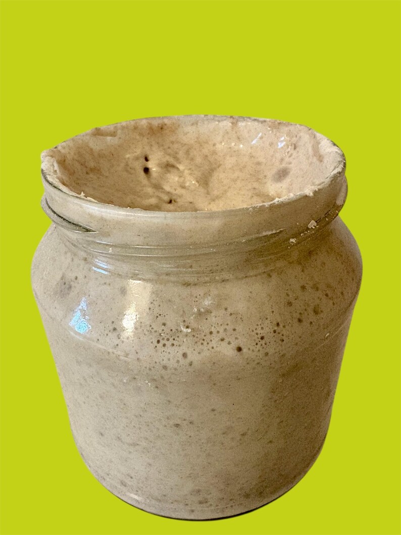 Recipe Cards (PDF), Kitchen Gift, Sourdough Starter, Bread Tips, Bread ...