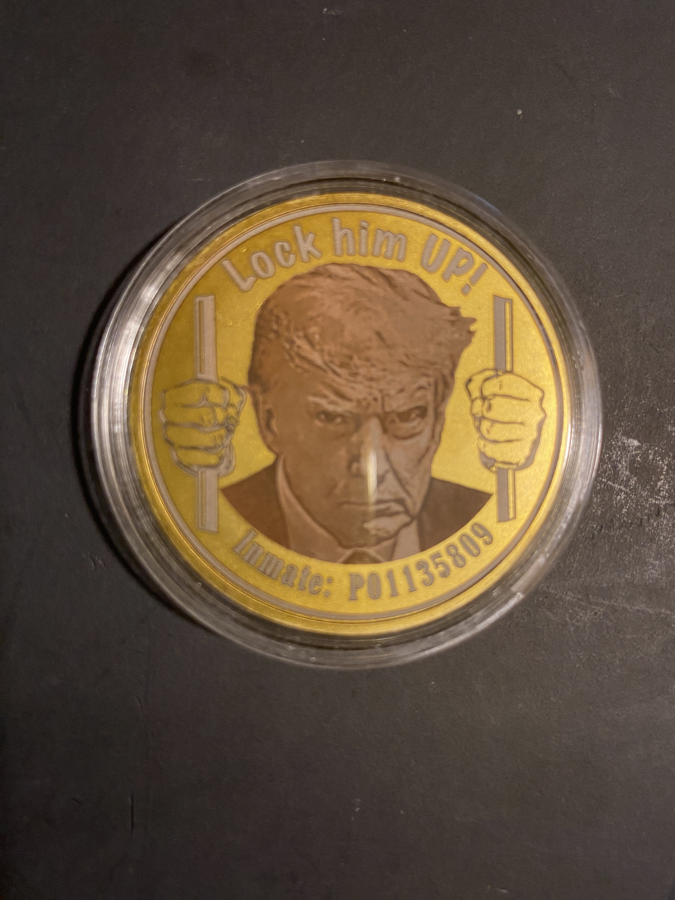 Lock Him up Mug Shot 2024 Traitor Trump Donald Commemorative Coup Coin ...