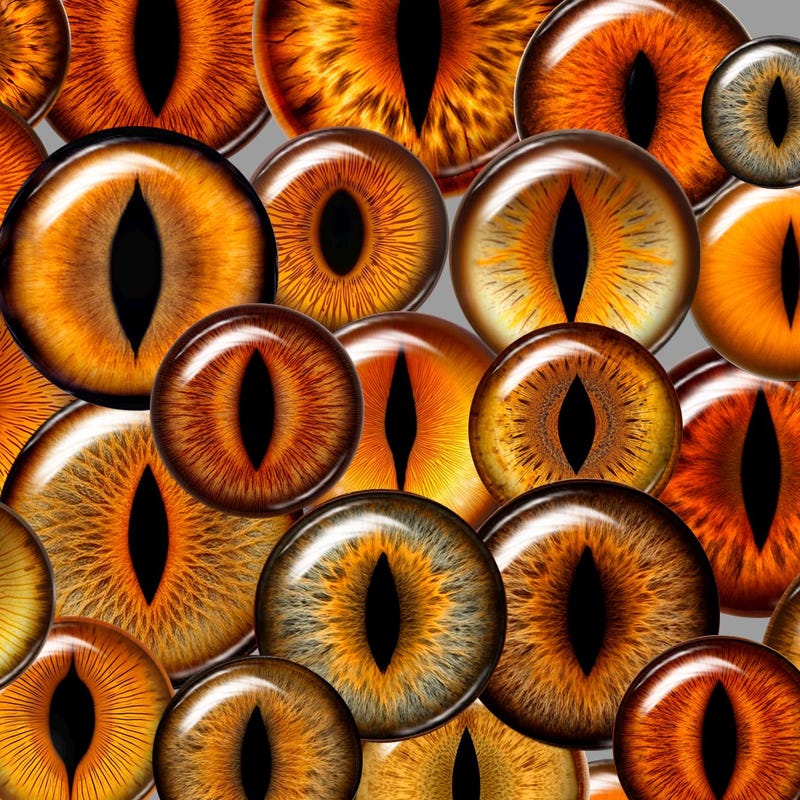 Printable Taxidermy Eyes - Etsy