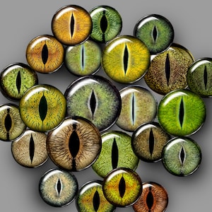 crocodile eye texture