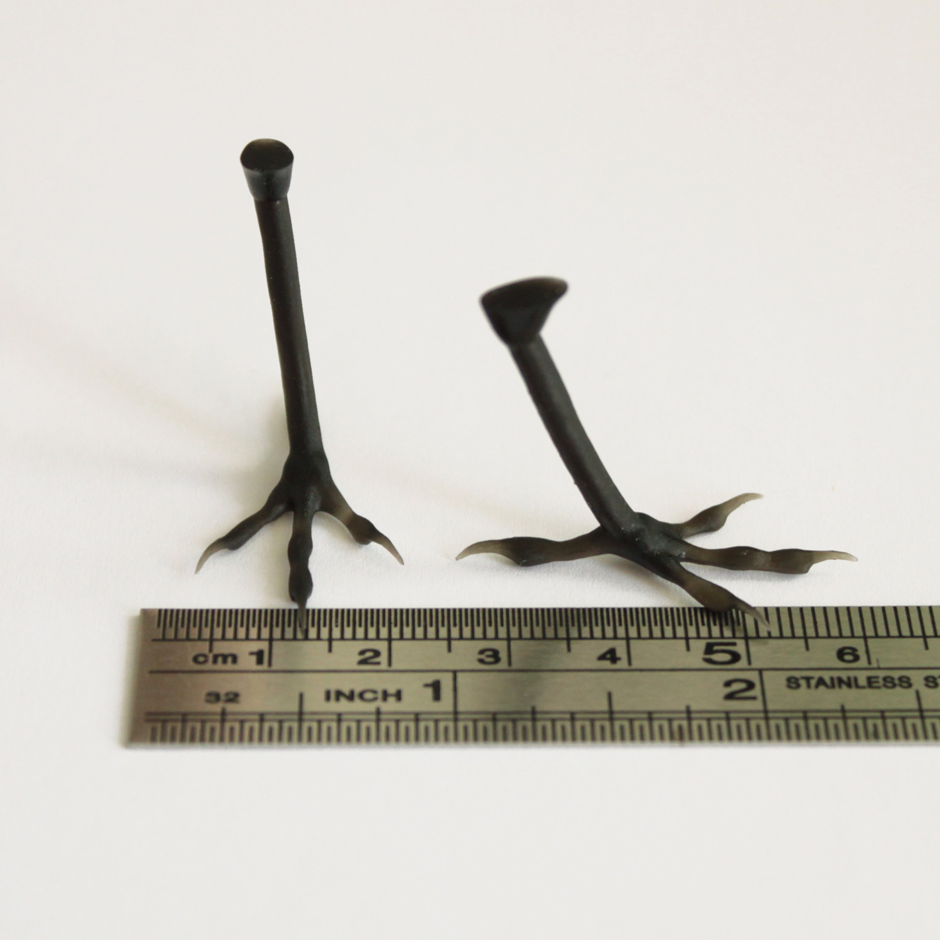Black Realistic Plastic Bird Paws, for Toy, Animal Feet, Sparrow ...