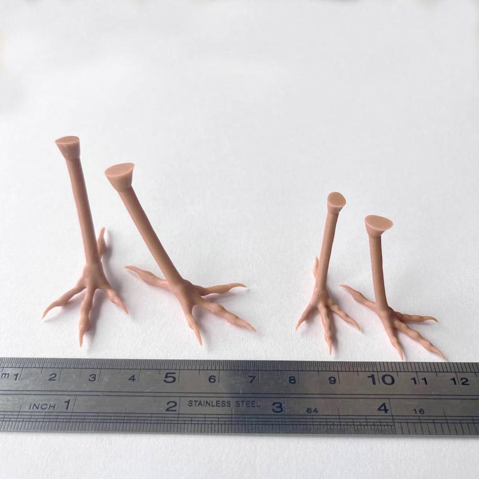 Brown Realistic Plastic Bird Paws, for Toy, Animal Feet, Sparrow ...