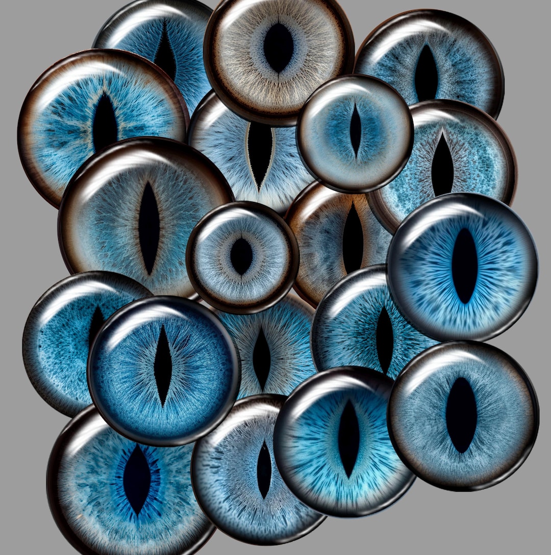 Realistic Blue Eyes for Cat With Vertical Pupil Taxidermy Digital ...