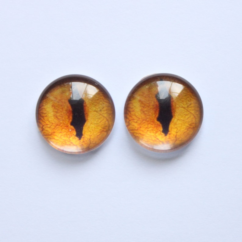 Yellow eyes for reptile Taxidermy glass eyes for lizard | Etsy