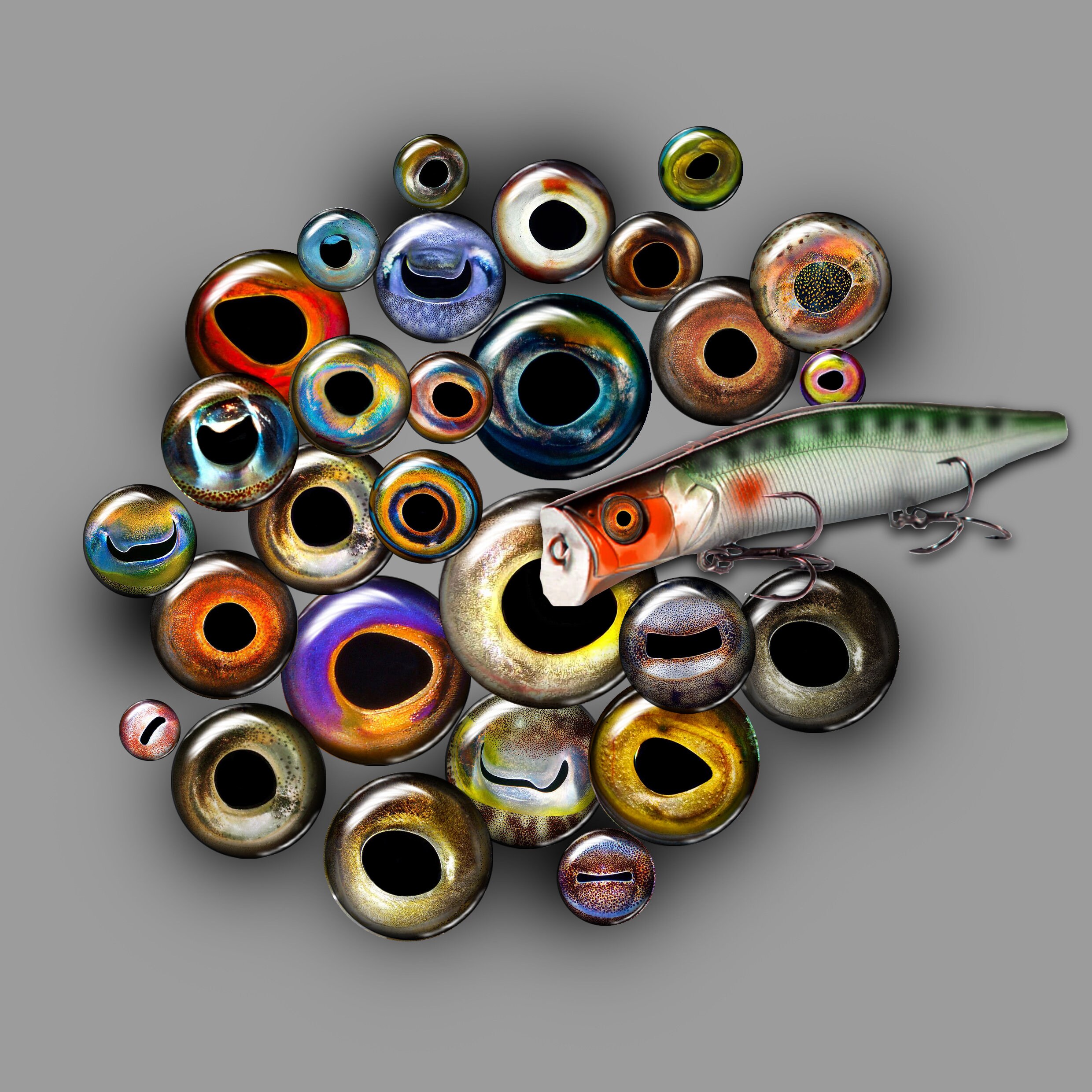 Realistic Octopus Reptile Fish Eyes for Fishing Lure Taxidermy Digital ...