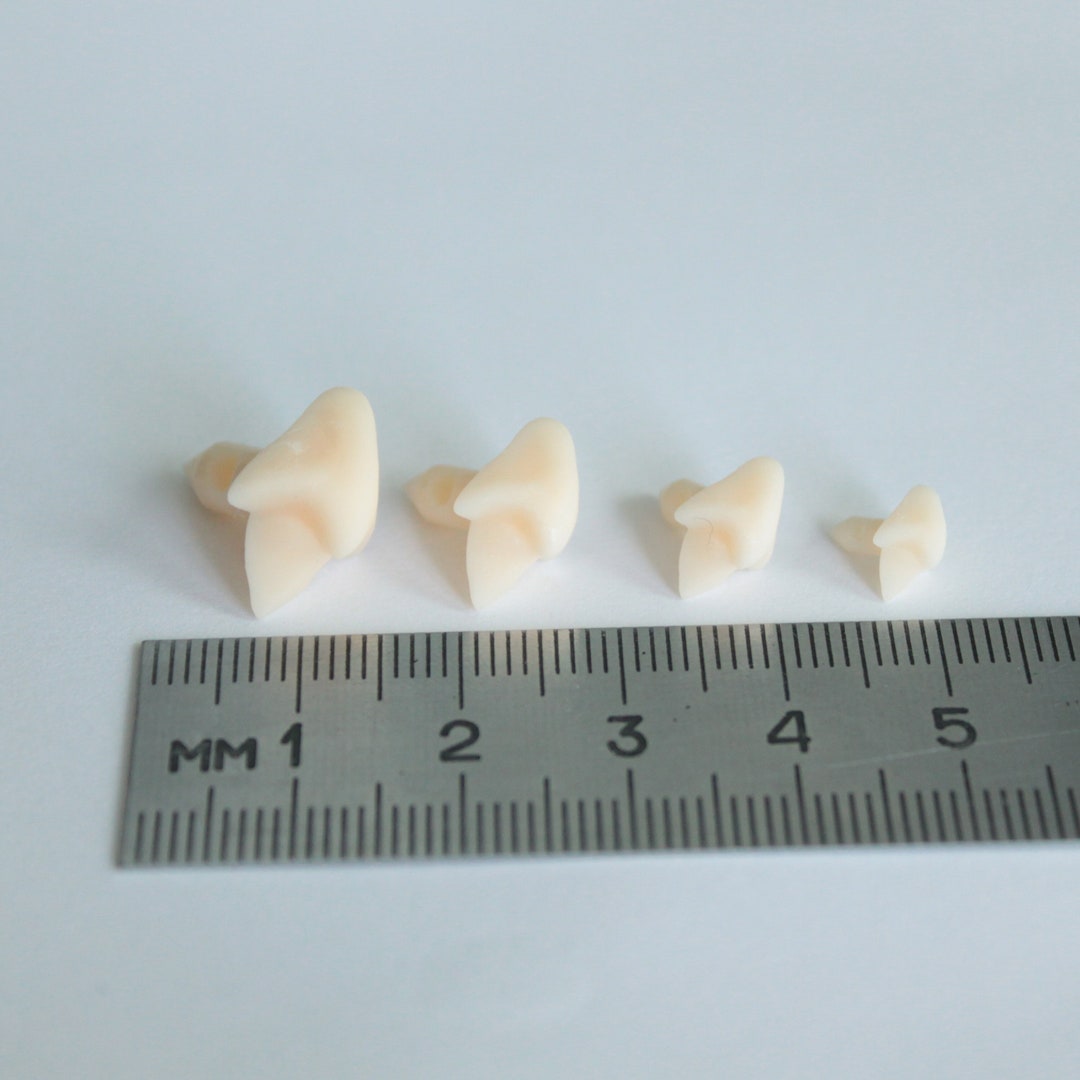 Realistic Plastic Beak Noses for Toy, Animal Noses, Sparrow, Owl Beak ...