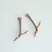 Brown Realistic Plastic Bird Paws, for Toy, Animal Feet, Sparrow ...