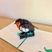 Robin Pop up Card 3D Robin Card Bird Watching Pop up Card - Etsy