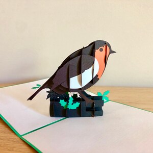 Robin Pop up Card 3D Robin Card Bird Watching Pop up Card - Etsy