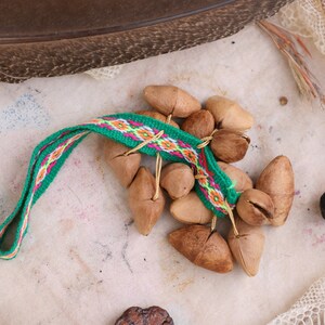Chajchas Kanari Shaker Seed Instrument. Shamanic Tool. Maracas Chach ...