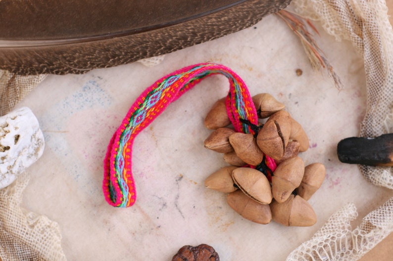 Chajchas Kanari Shaker Seed Instrument. Shamanic Tool. Maracas | Etsy