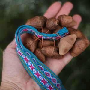 Chajchas Kanari Shaker Seed Instrument. Shamanic Tool. Maracas Chach ...
