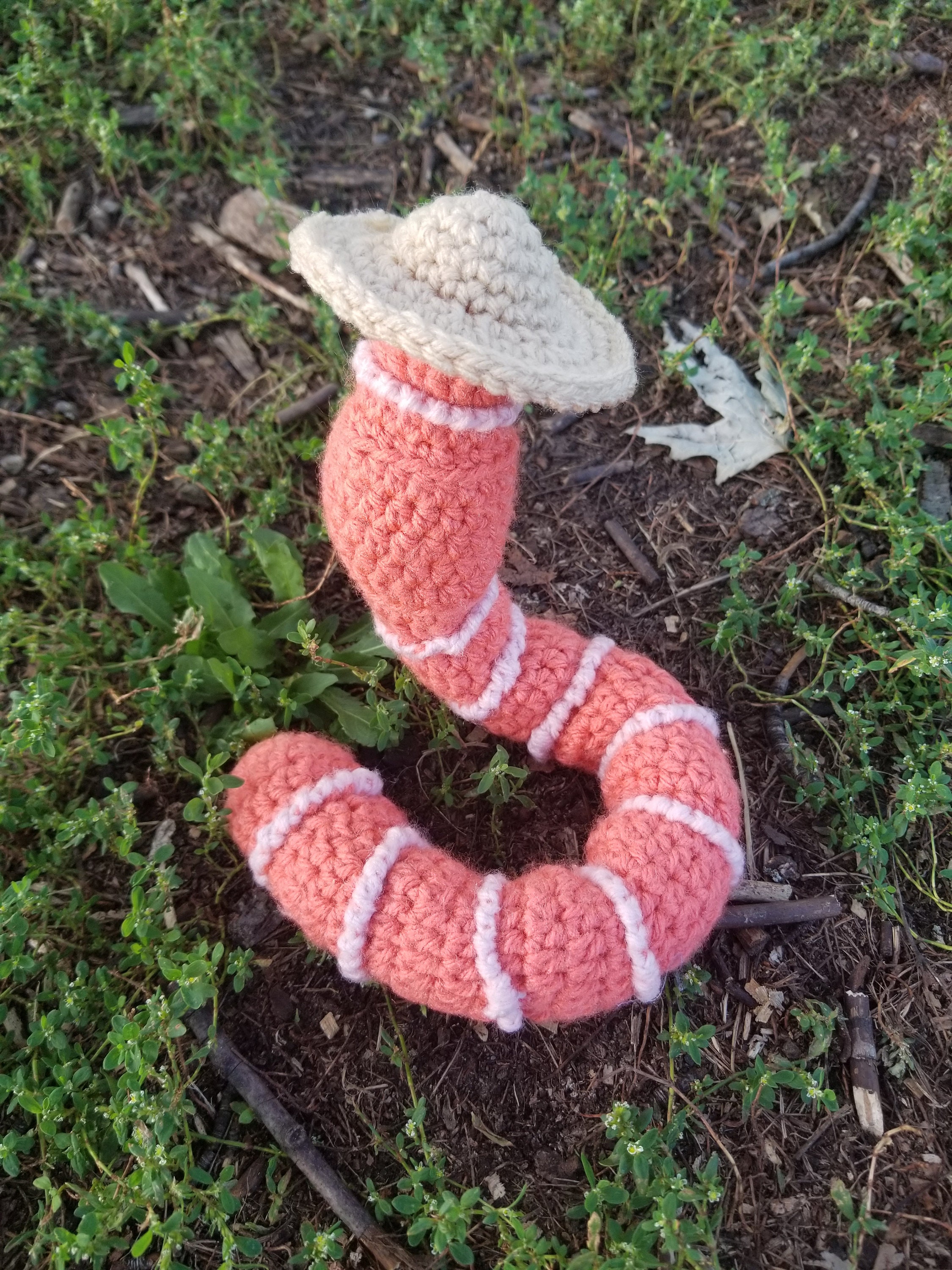 PDF CROCHET PATTERN Dress up Earth Worm Wormy Earthworm - Etsy