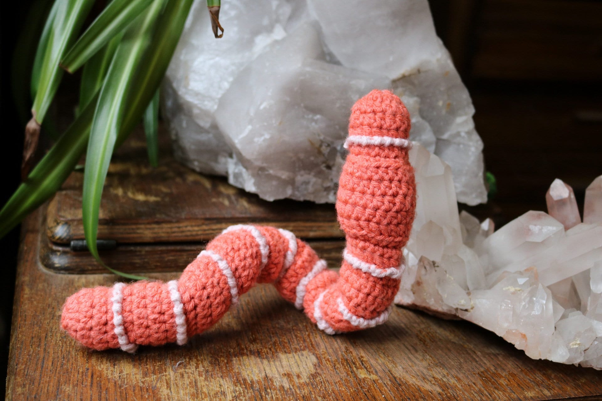 PDF CROCHET PATTERN Dress up Earth Worm Wormy Earthworm Amigurumi Witch ...