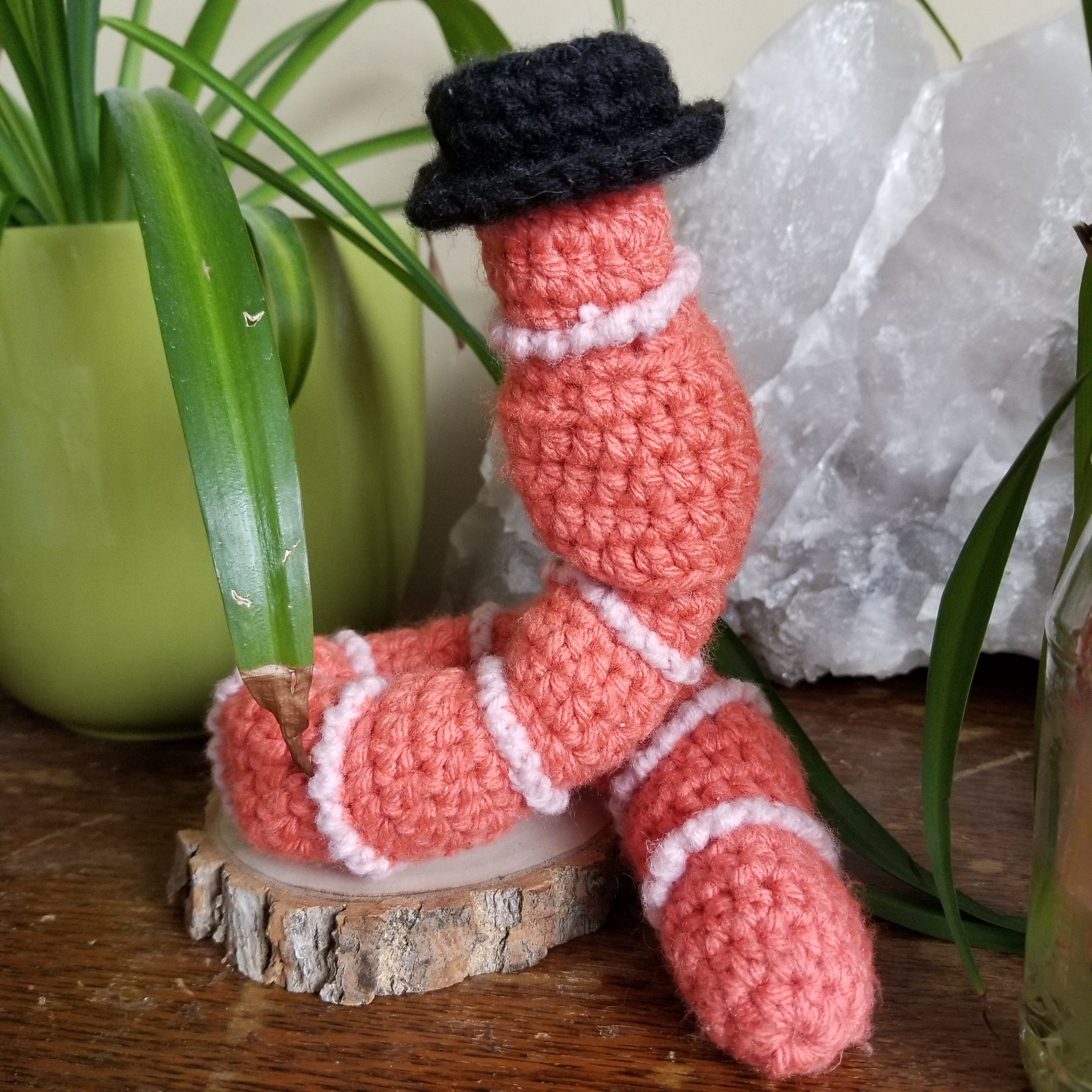 PDF CROCHET PATTERN Dress up Earth Worm Wormy Earthworm - Etsy