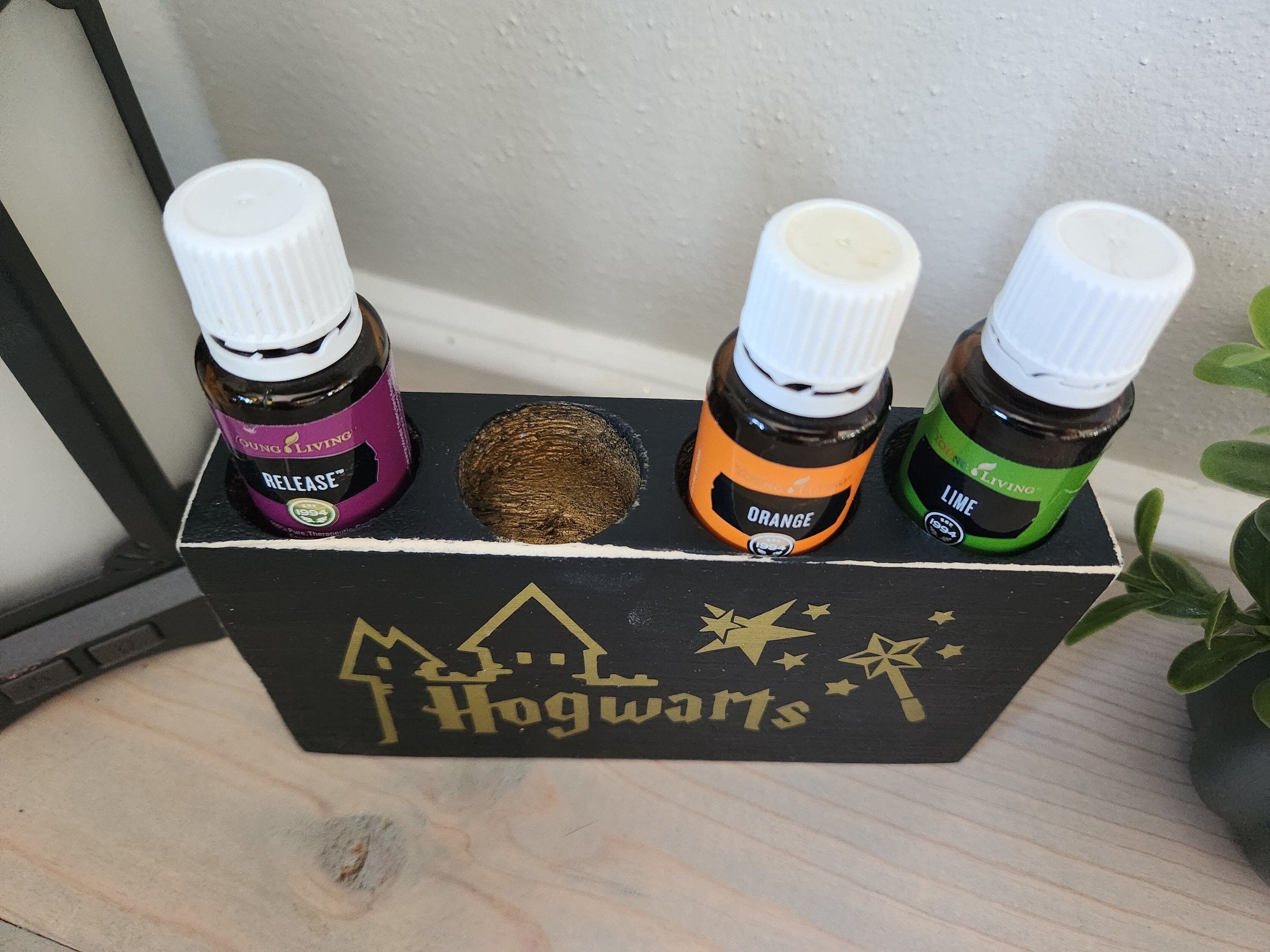 Essential Oil Shelf // Oil Storage // 15ml // Harry Potter - Etsy