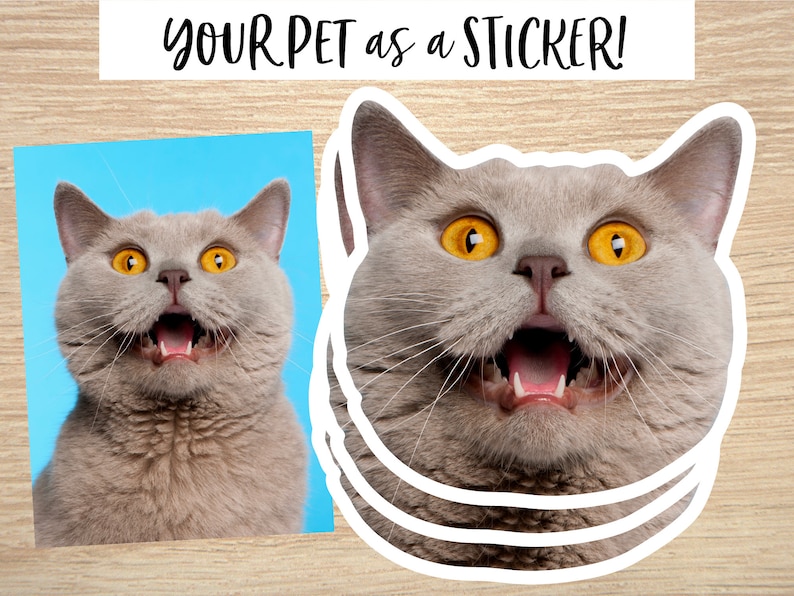 Custom Face Sticker Stickers From Your Photo Portrait Die - Etsy