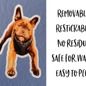 Custom Face Sticker, Stickers From Your Photo Portrait - Die Cut ...