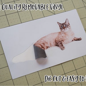 Custom Face Sticker, Stickers From Your Photo Portrait - Die Cut ...