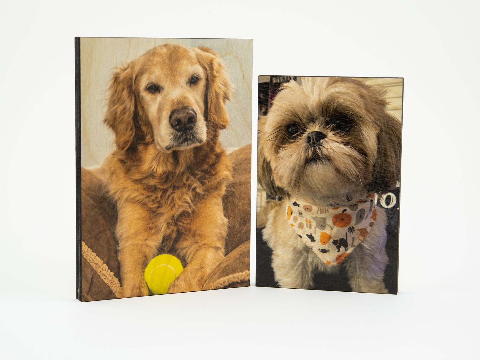 Pet Photo Printed on Wood Pet Owner Gift Pet Memorial Gift - Etsy