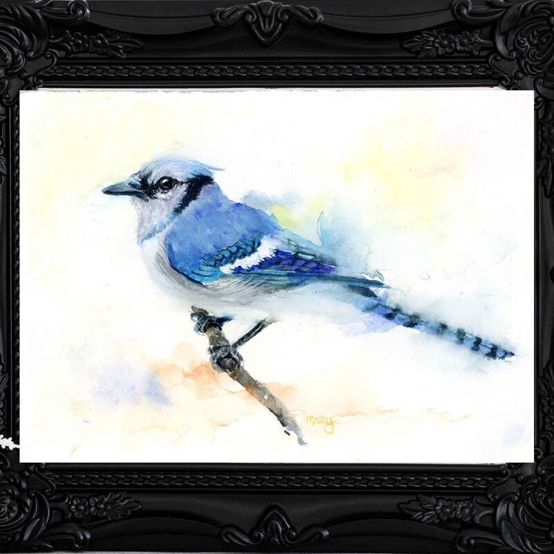 Blue Jay Print - Etsy