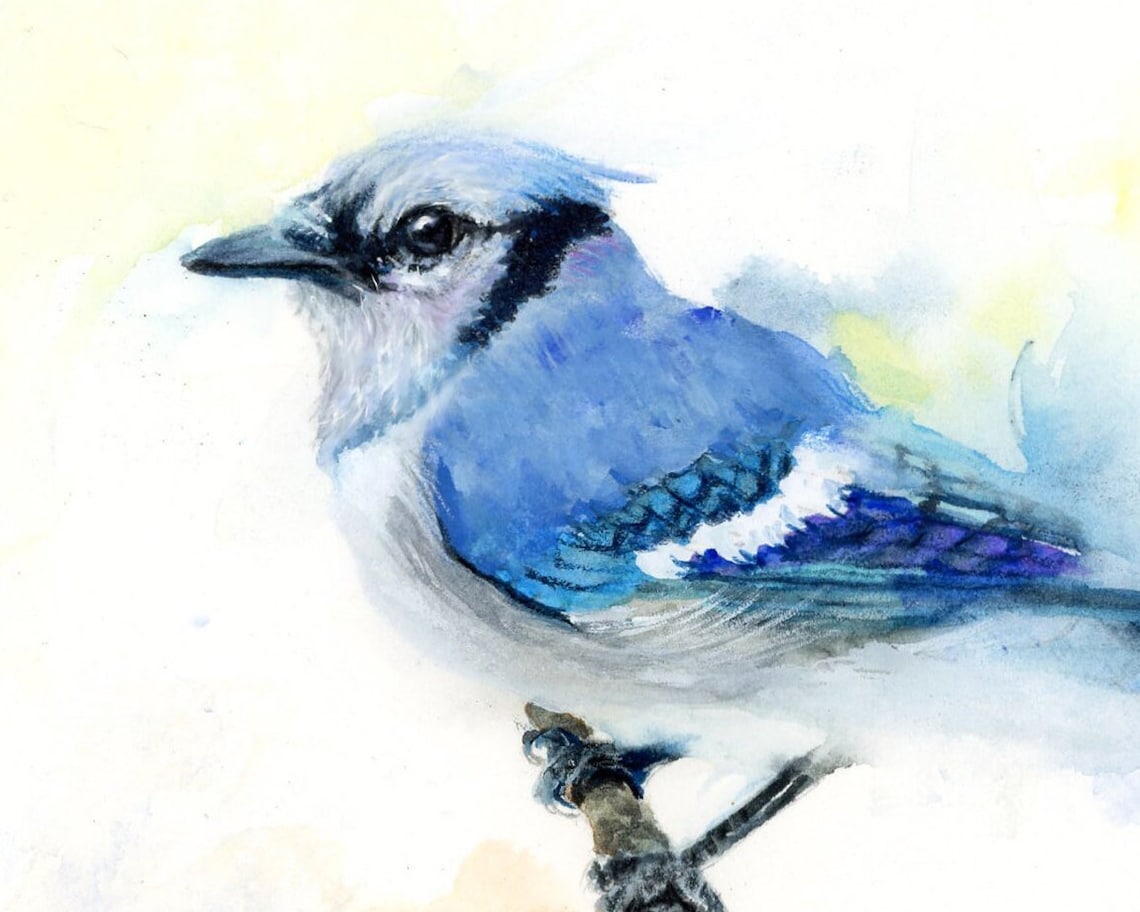 Blue Jay Art Print Blue Jay Wall Art Blue Jay Art Print - Etsy