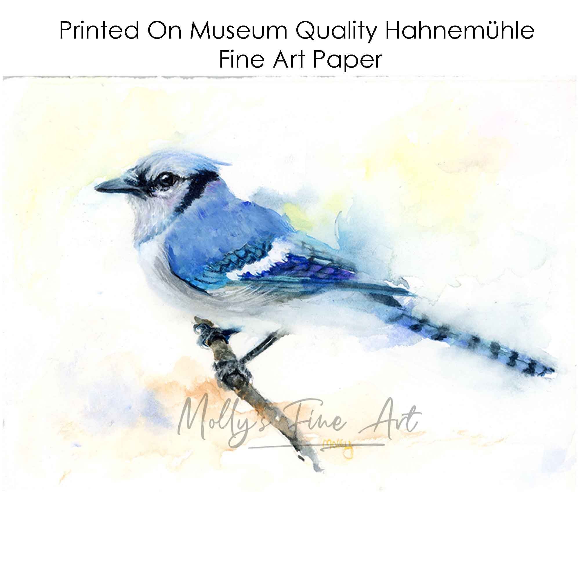 Blue Jay Art Print, Blue Jay Wall Art, Blue Jay Art Print, Watercolor ...