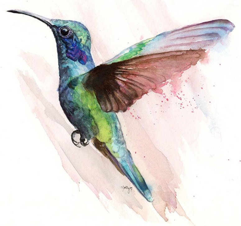 Hummingbird Art Print Hummingbird Gifts Hummingbird Artwork - Etsy