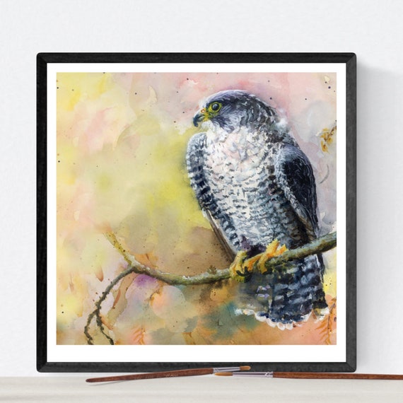 Peregrine Falcon Art Peregrine Falcon Print Peregrine - Etsy