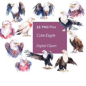 Cute Eagle Clipart Set - Whimsical Bird - Cartoon Eagle - Instant ...