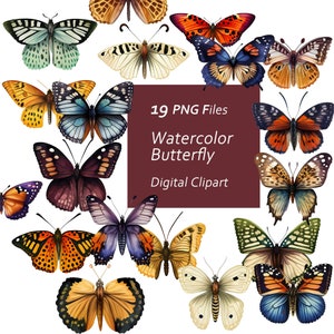 Watercolor Butterfly Clipart Set - Instant Download PNG, Commercial Use ...