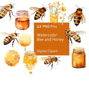 Bee and Honey Clipart Set - Honey Bees - Watercolor Bees - Honeycomb ...