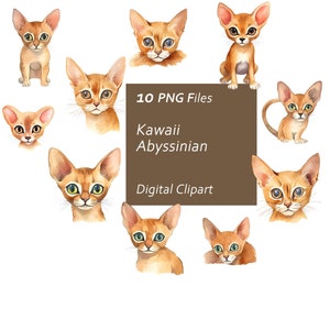 Kawaii Abyssinian Clipart Set - Watercolor Abyssinian - Whimsical Cats ...